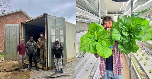 Shipping container transformed into hydroponic farm for those in need