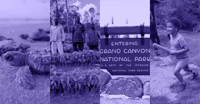 Good News This Week: July 5, 2025 - Turtles, Robots, & Crocodiles