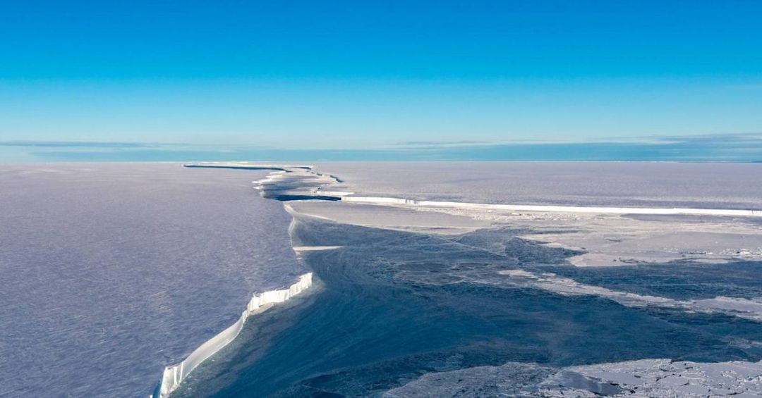 Antarctica creature found in 1989 finally added as new species