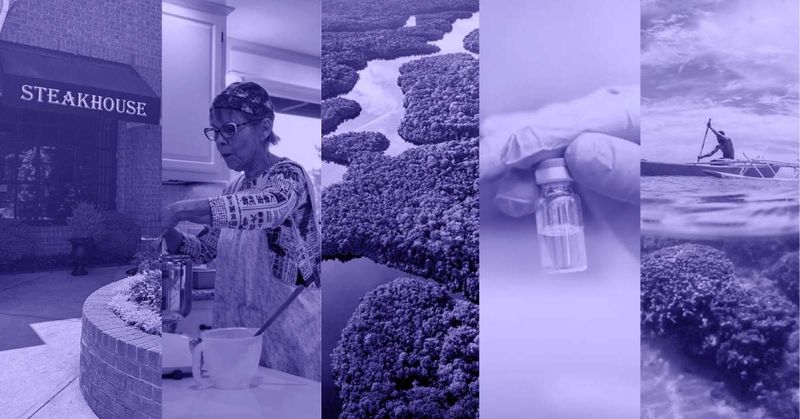 26 Types of Activism To Know (Plus Examples)