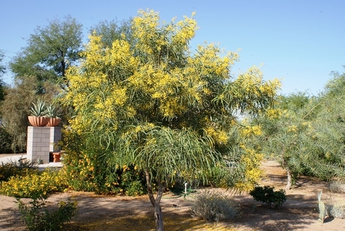 Kevin's Initial Project