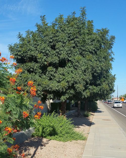 Kevin's Initial Project