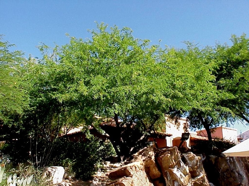 Kevin's Initial Project