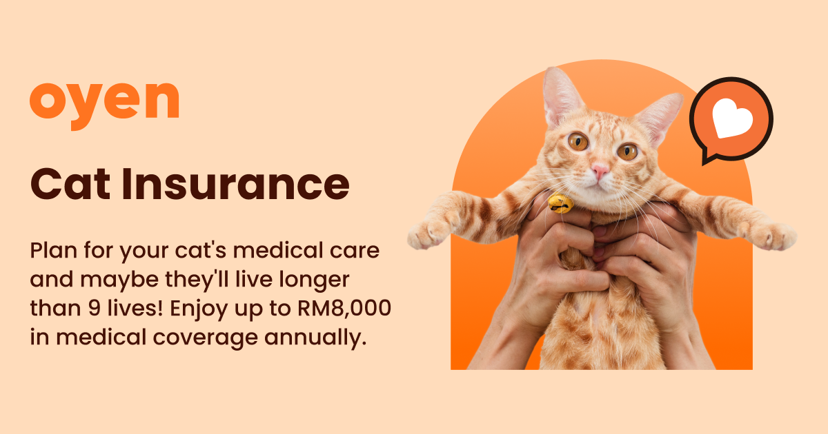 Cat Insurance - Malaysia