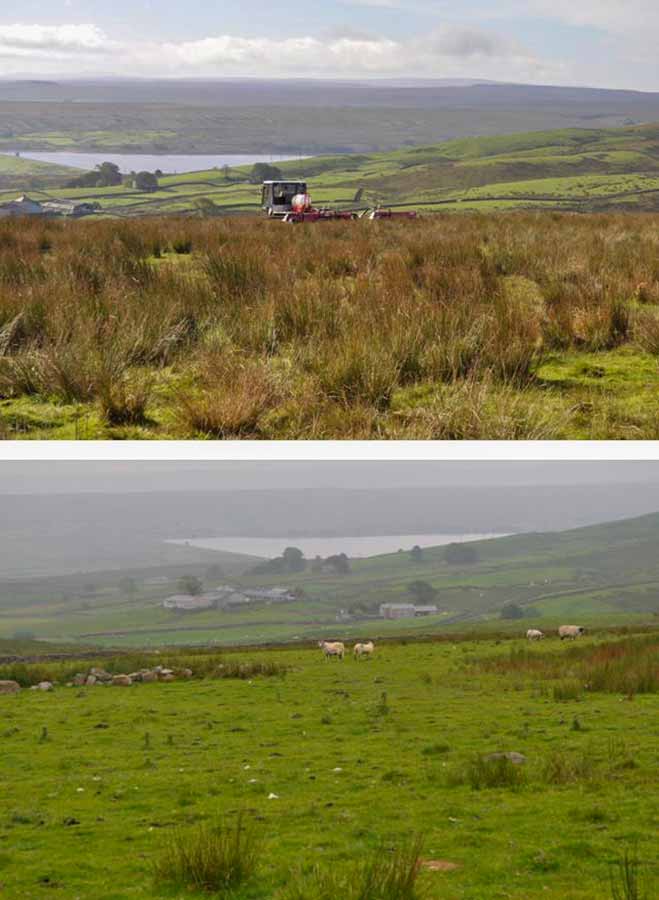 LOGIC | CTF Towed Weed Wiper