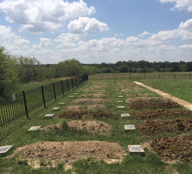 Masjids & Islamic Institutions