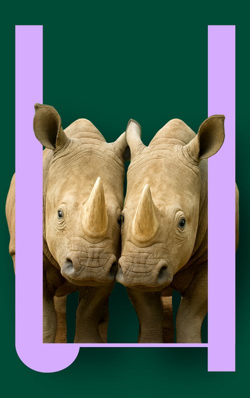 Waarom zijn er meer mannen dan vrouwen op de wereld? :: Universiteit ...