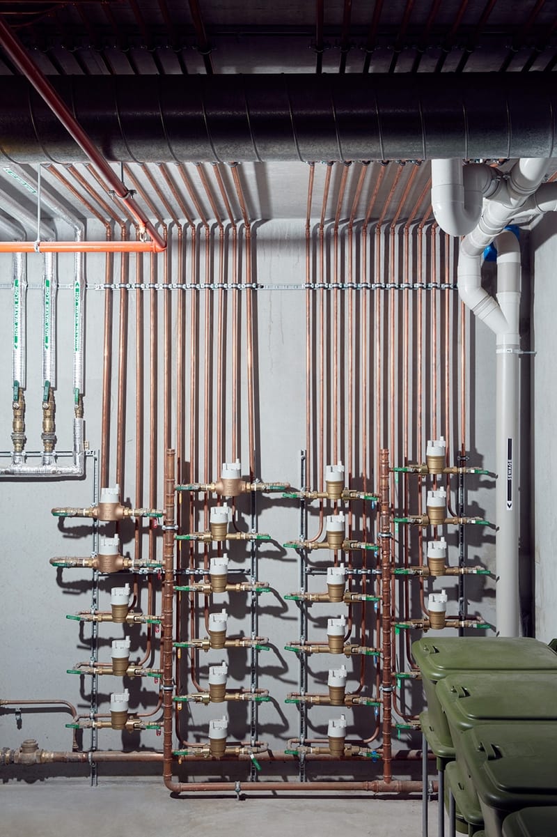 Nightingale 1 by Breathe