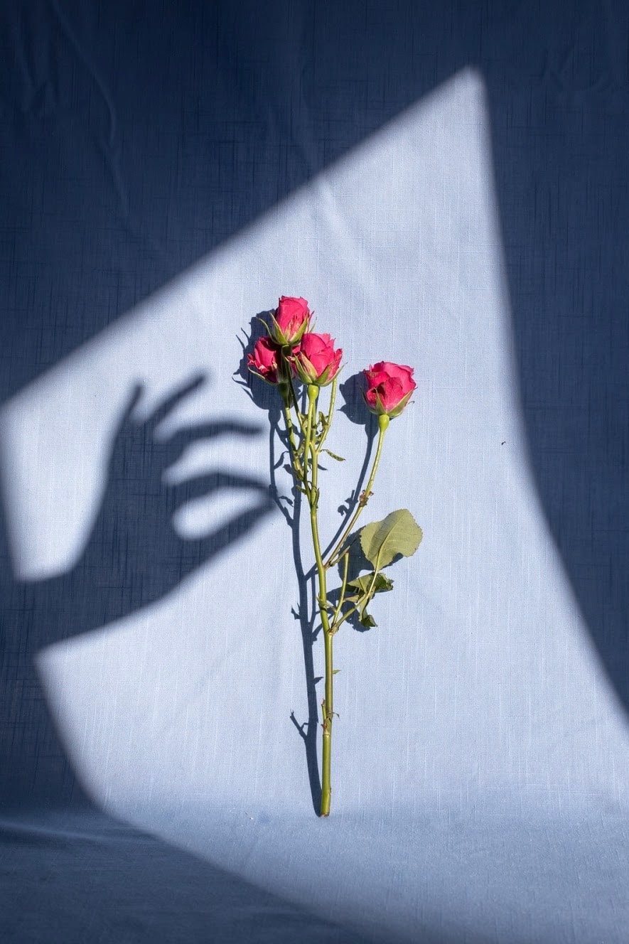 10 sensational STEM activities for toddlers | Famly