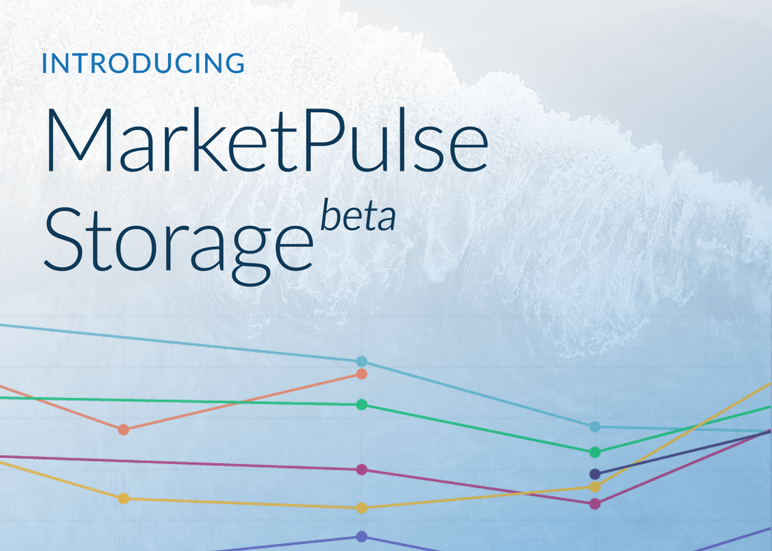 Announcing MarketPulse Storage beta - Bringing Transparency to an Evolving Market
