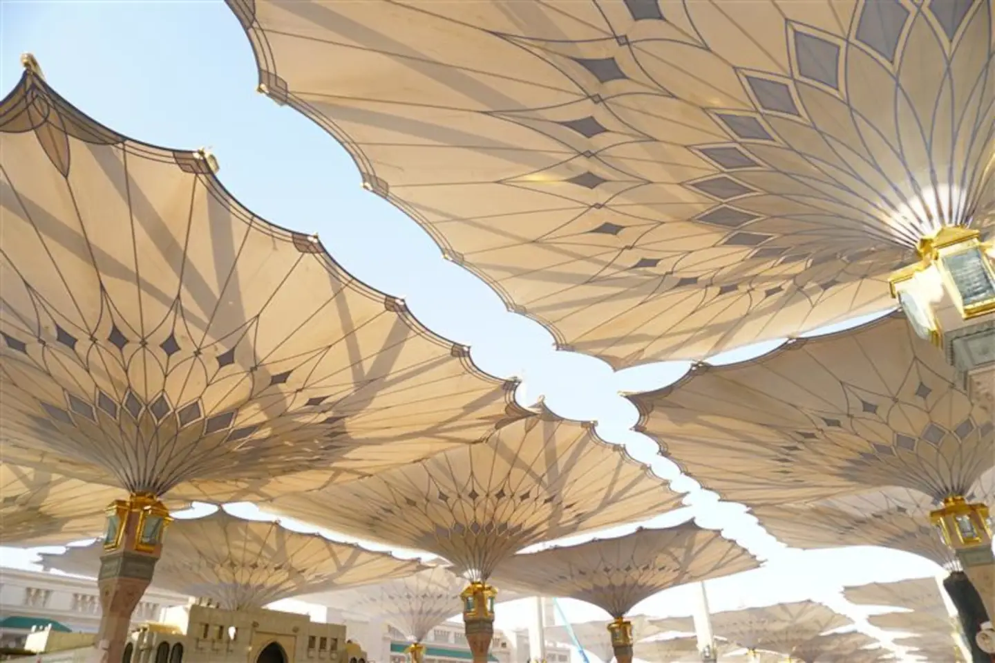 Estate Planning for Expats Living in Saudi Arabia: Wills, Succession ...