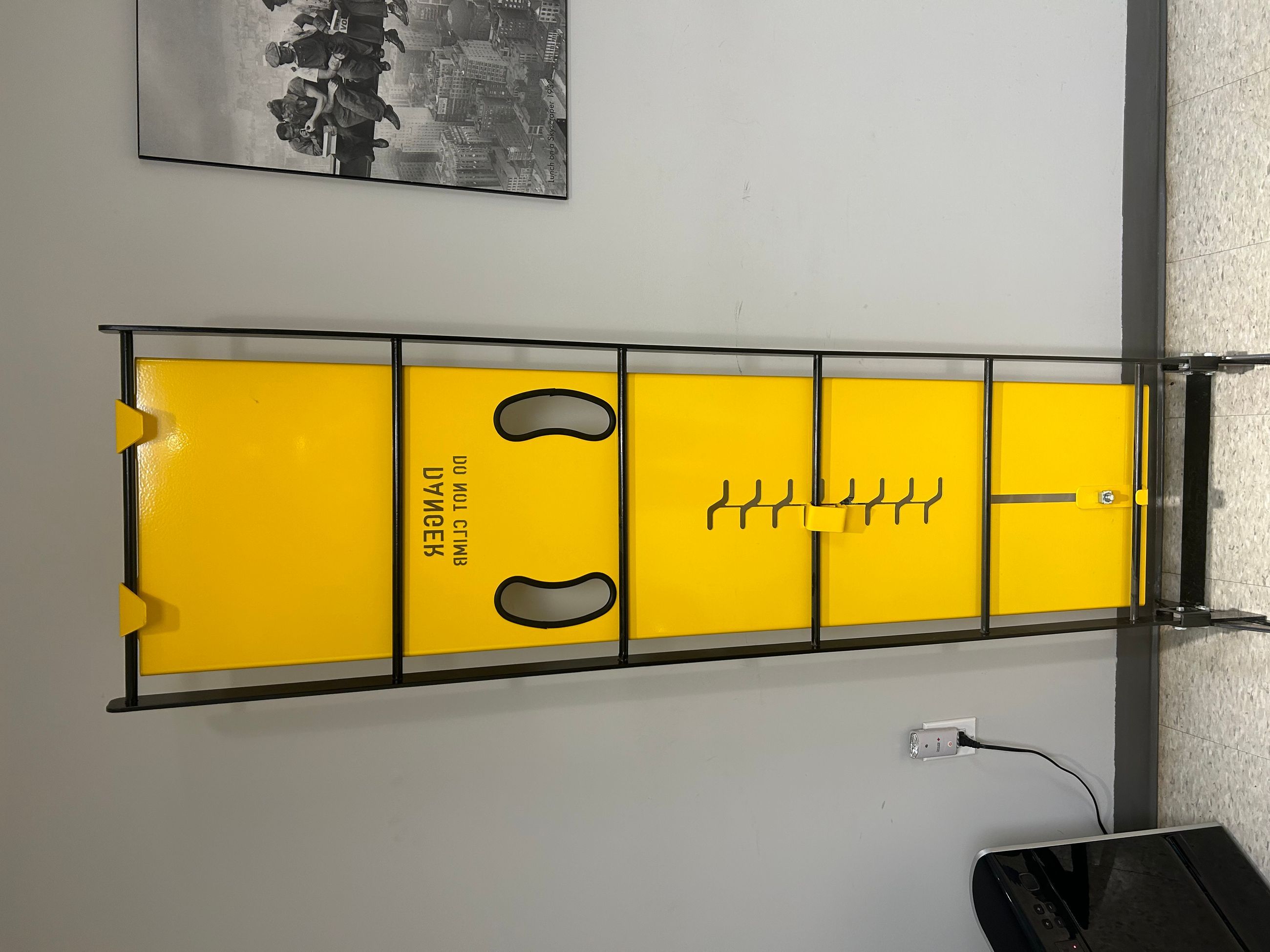 Access Ladder Safety Guard | Custom Lockable Ladder Guards