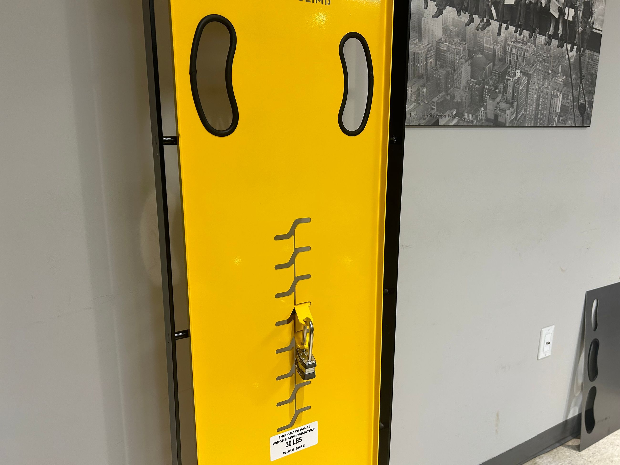Access Ladder Safety Guard | Custom Lockable Ladder Guards