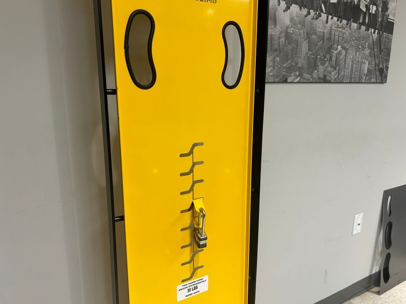 Access Ladder Safety Guard | Custom Lockable Ladder Guards