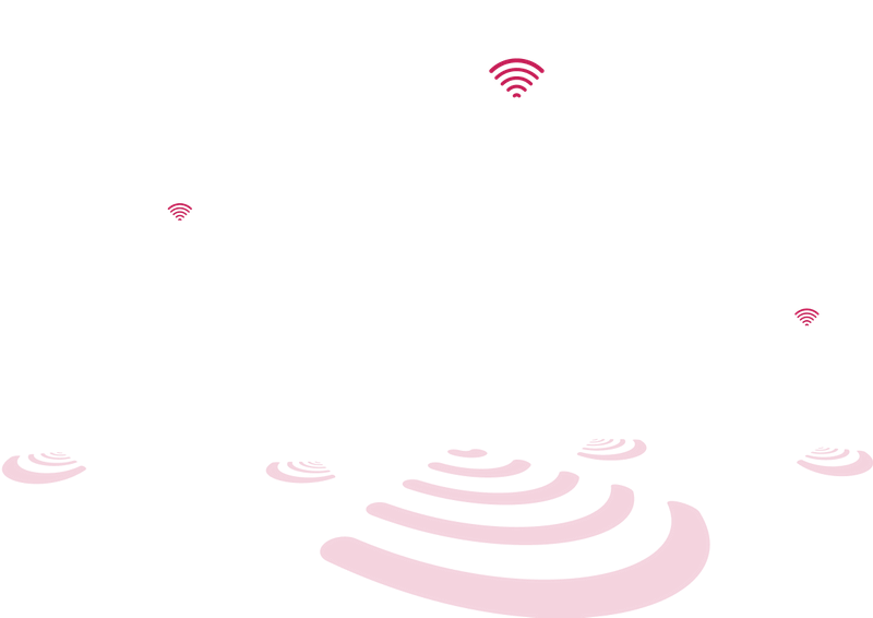 About FERNRIDE | Our Vision, Mission and Beliefs