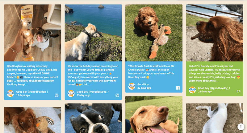 Social Wall for Events, Websites & Displays — Walls.io