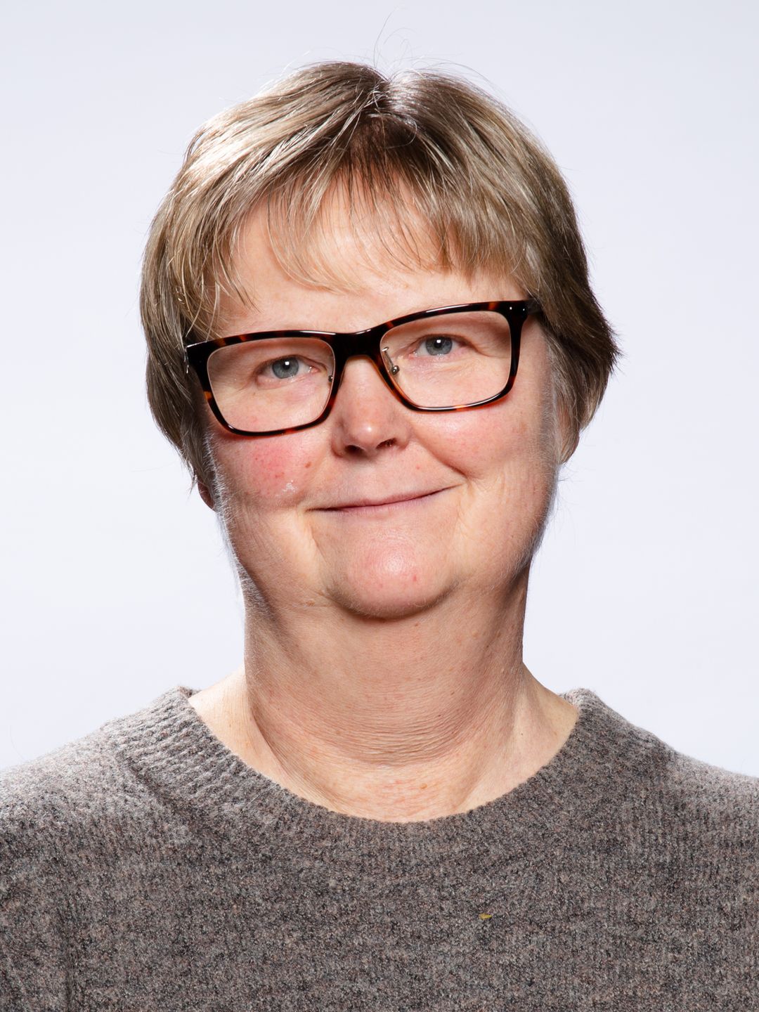 People - SFI Visual Intelligence