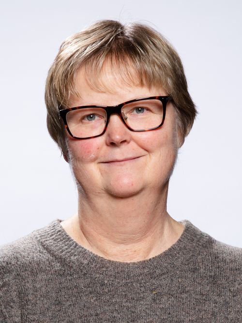 People - SFI Visual Intelligence