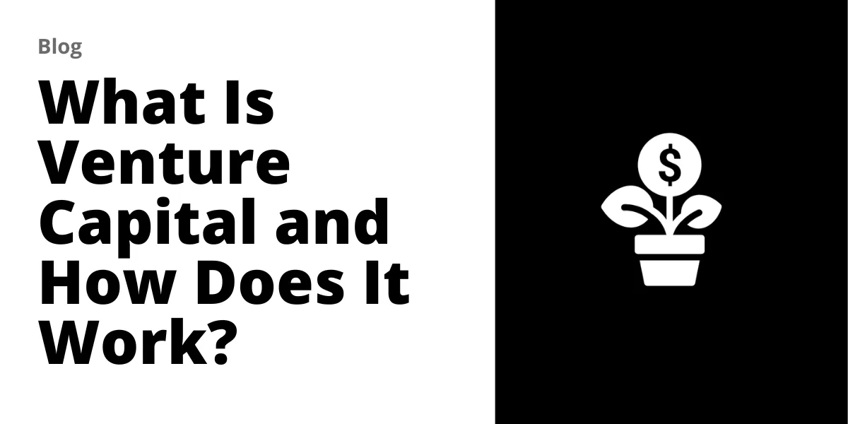 What Is Venture Capital and How Does It Work?