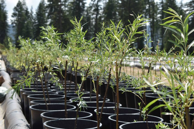 Washington State Conservation Commission | SCC