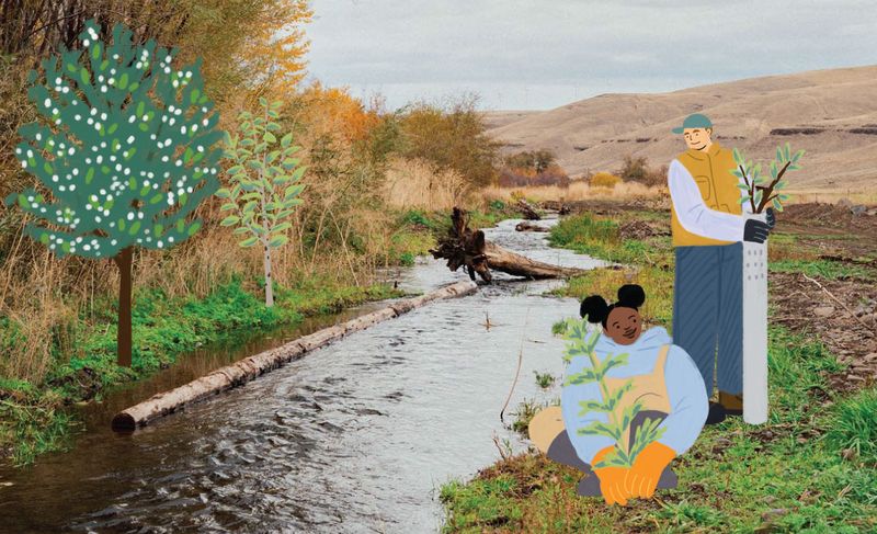 Washington State Conservation Commission | SCC