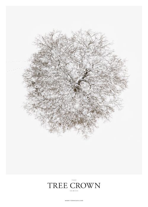 Tom Hegen — Aerial Photographer