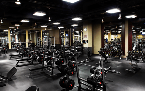 Gold's Gym - One of the best gyms in Los Angeles