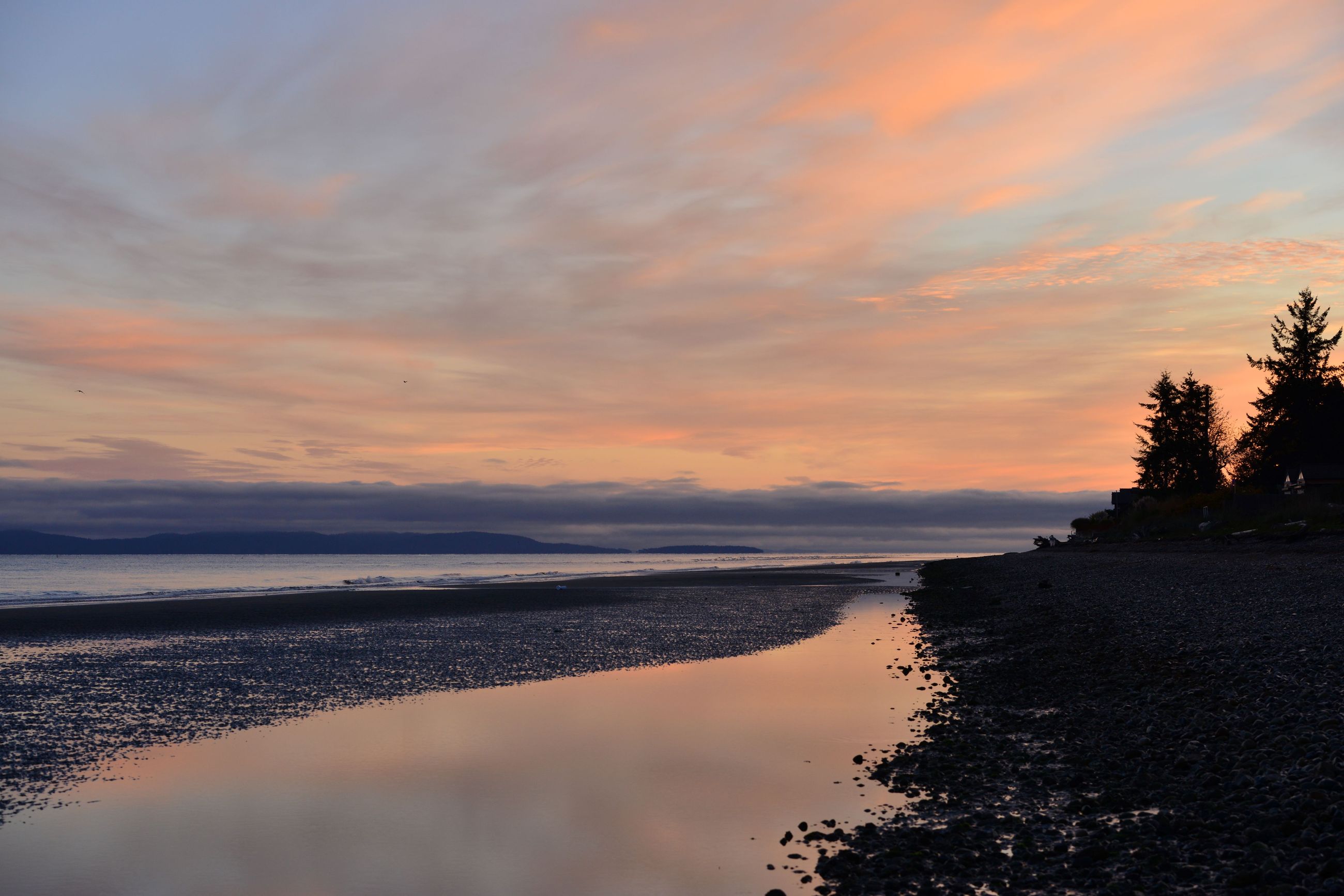 Home [www.qualicumbeachinn.com]