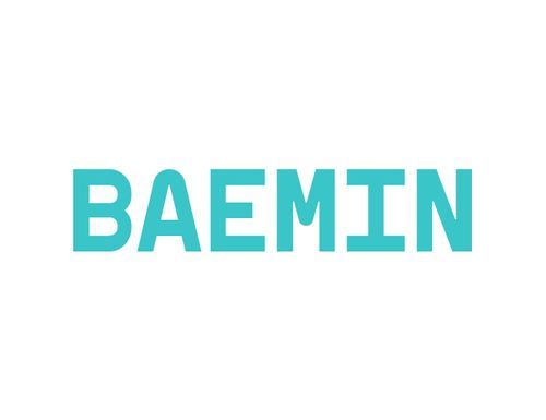 BAEMIN Vietnam localization | The turquoise arrived to streets