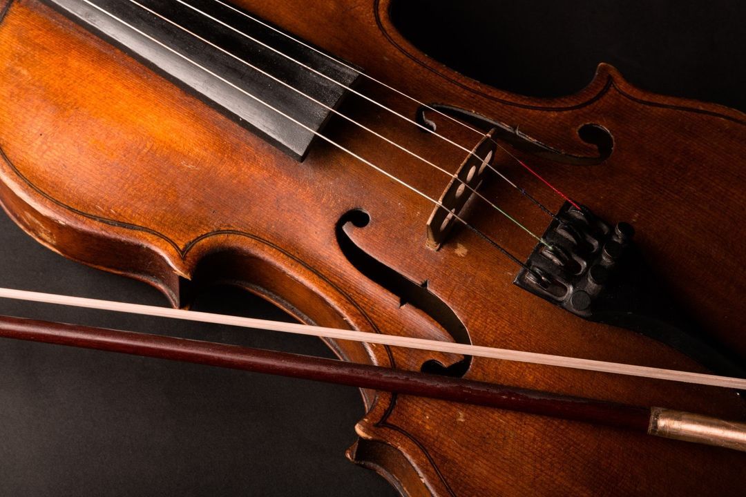 How to Choose a Violin: 7 Expert Tips from a Luthier | MyLuthier Blog