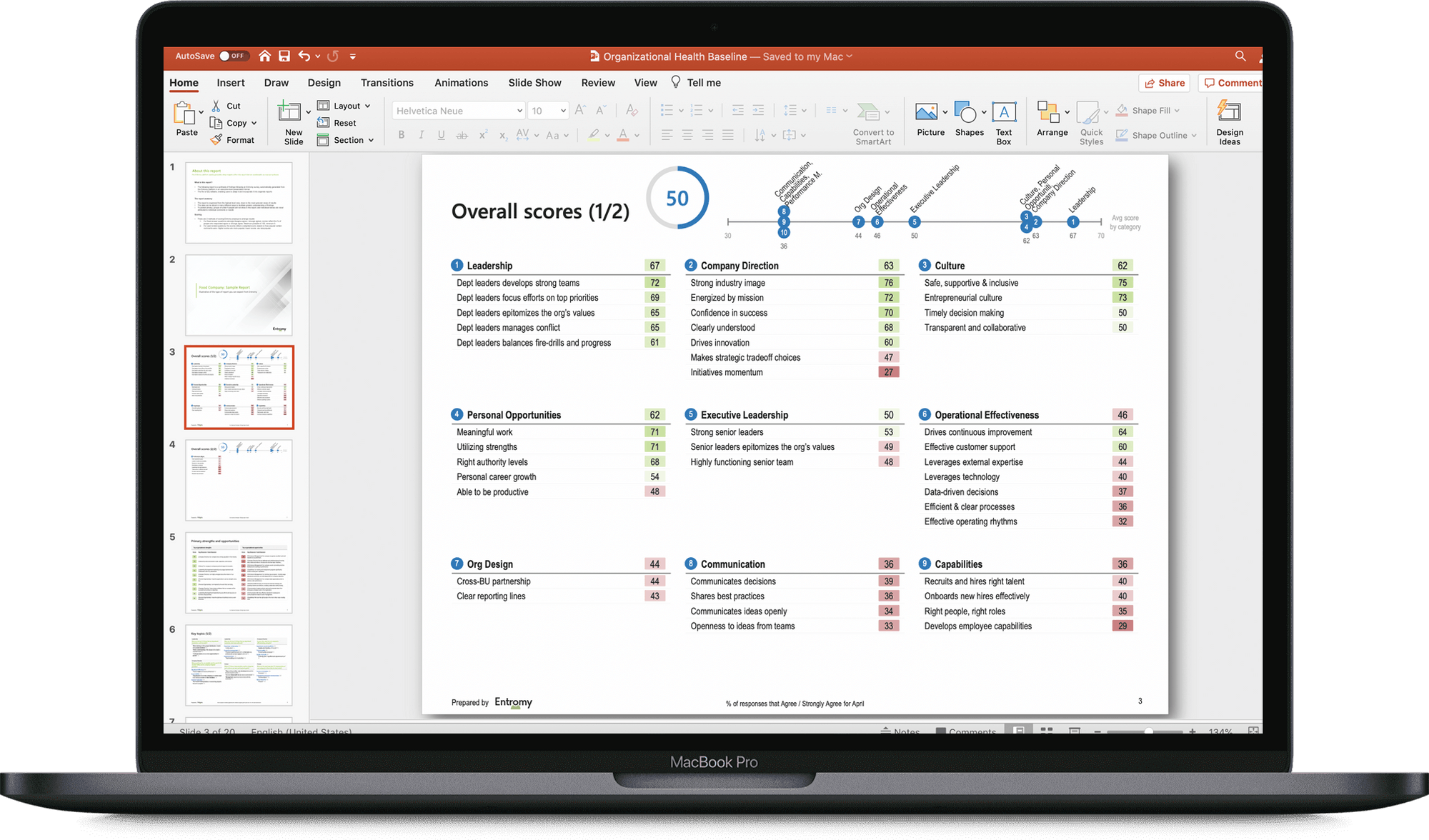Organizational Assessment Platform - Entromy