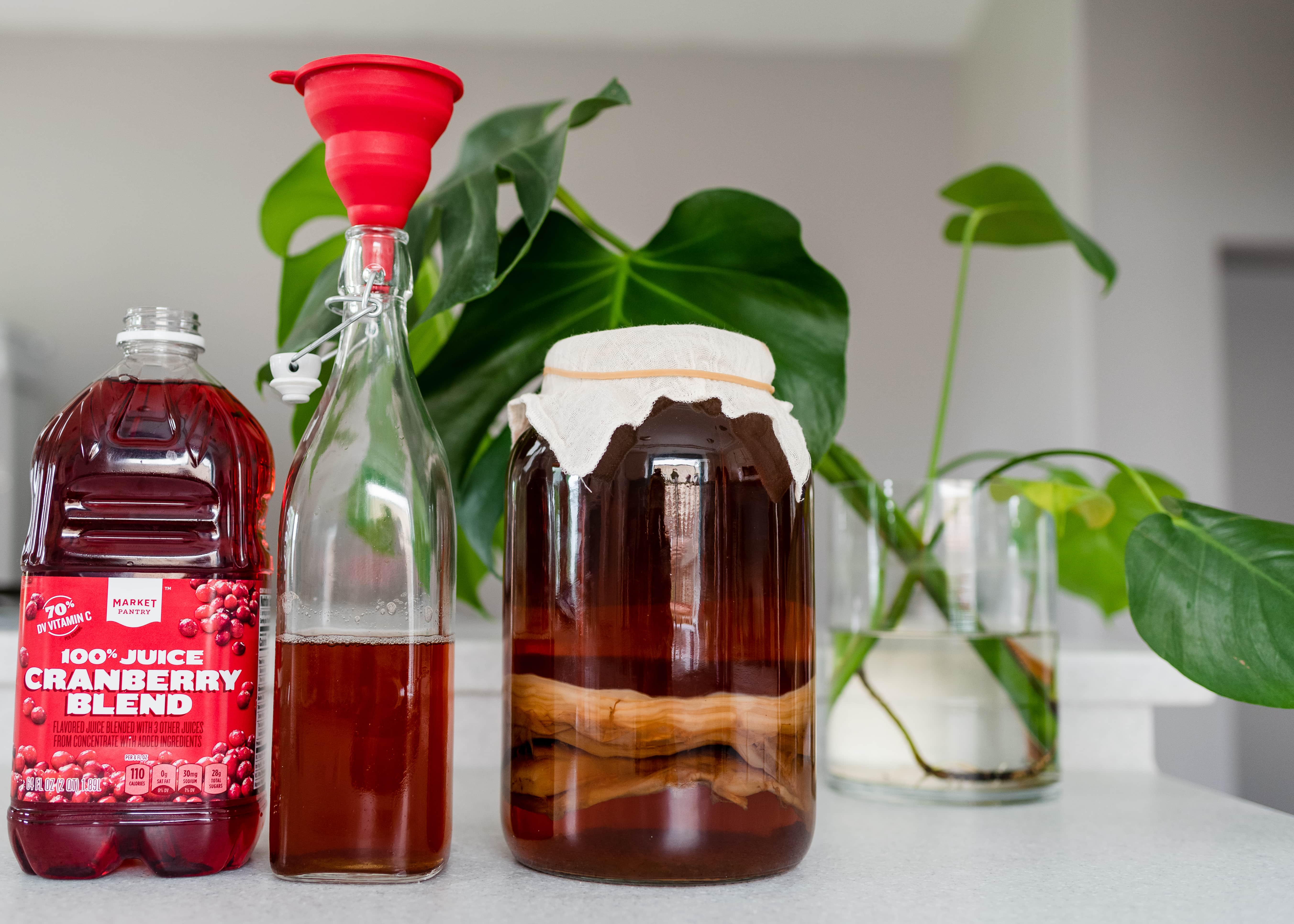 Guide To Making Fizzy Kombucha