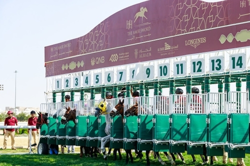 The Qatar Racing And Equestrian Club, Qatar – ARF Member | Asian Racing ...