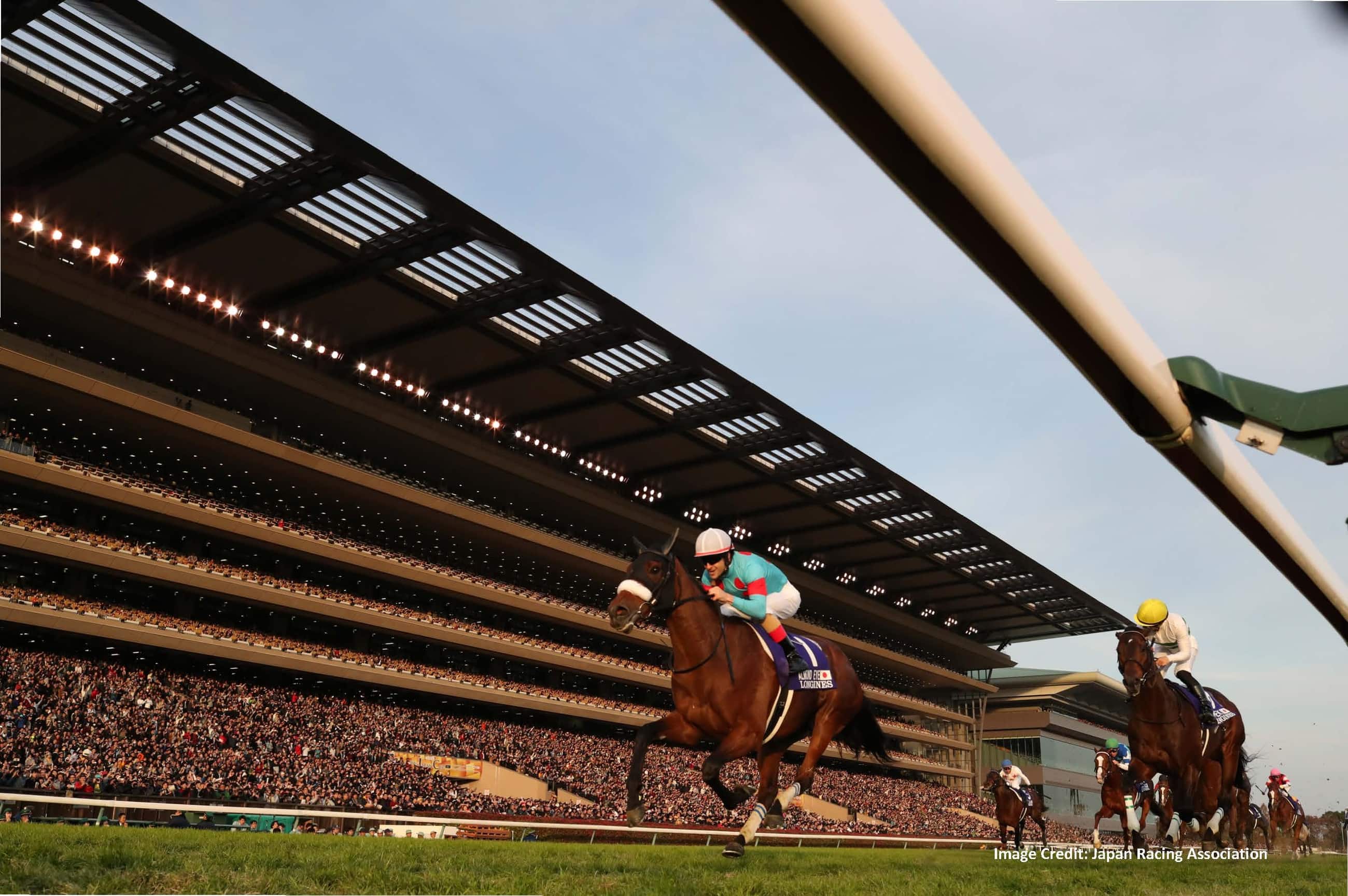 Japan Racing Association, Japan – ARF Member | Asian Racing Federation