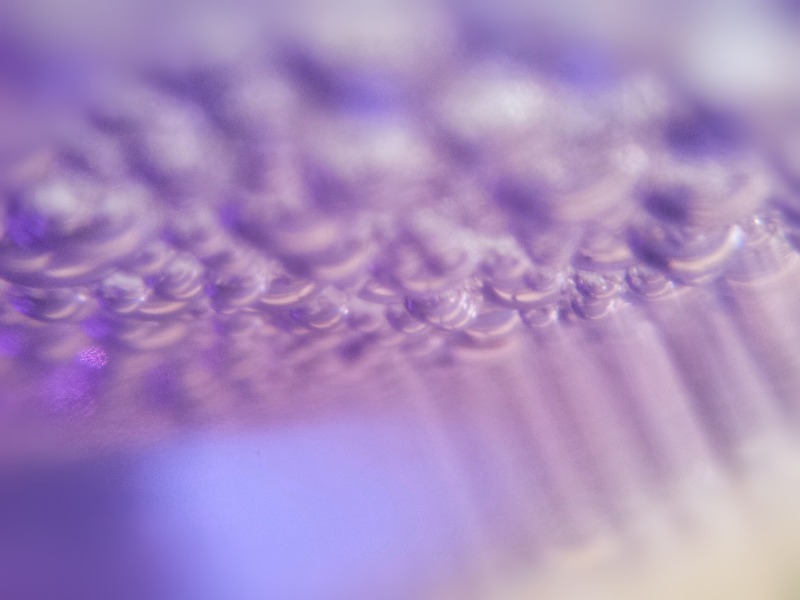 Methylated Spirits 101: The Most Underrated Household Essential ...