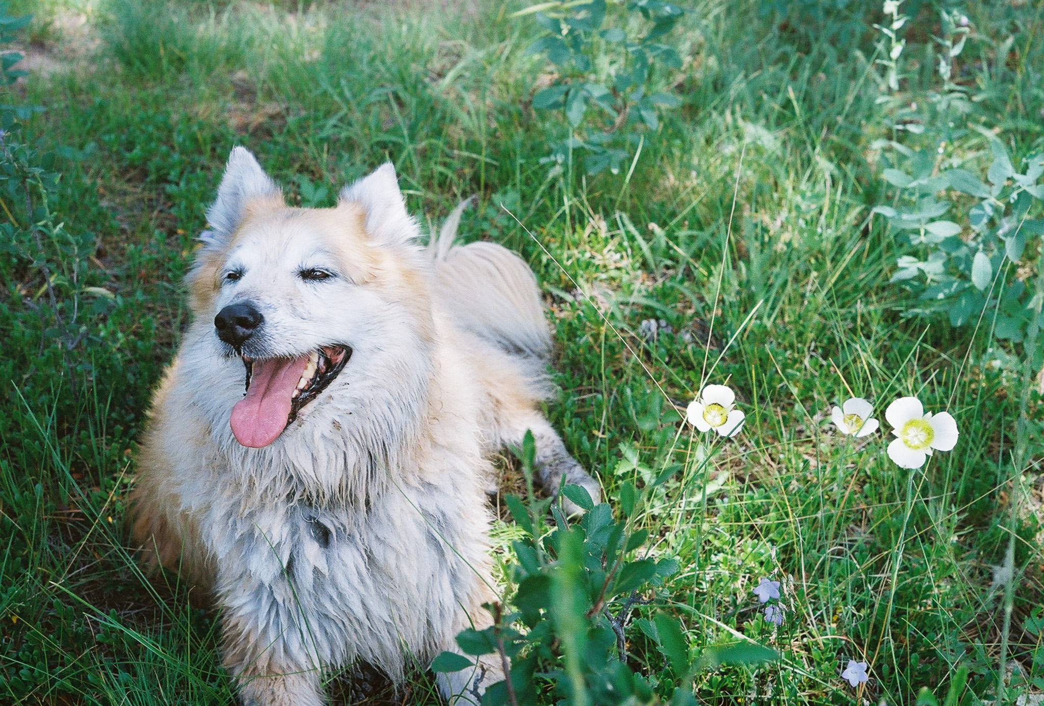 West of Nowhere Photography | ShutterScout, powered by SmugMug