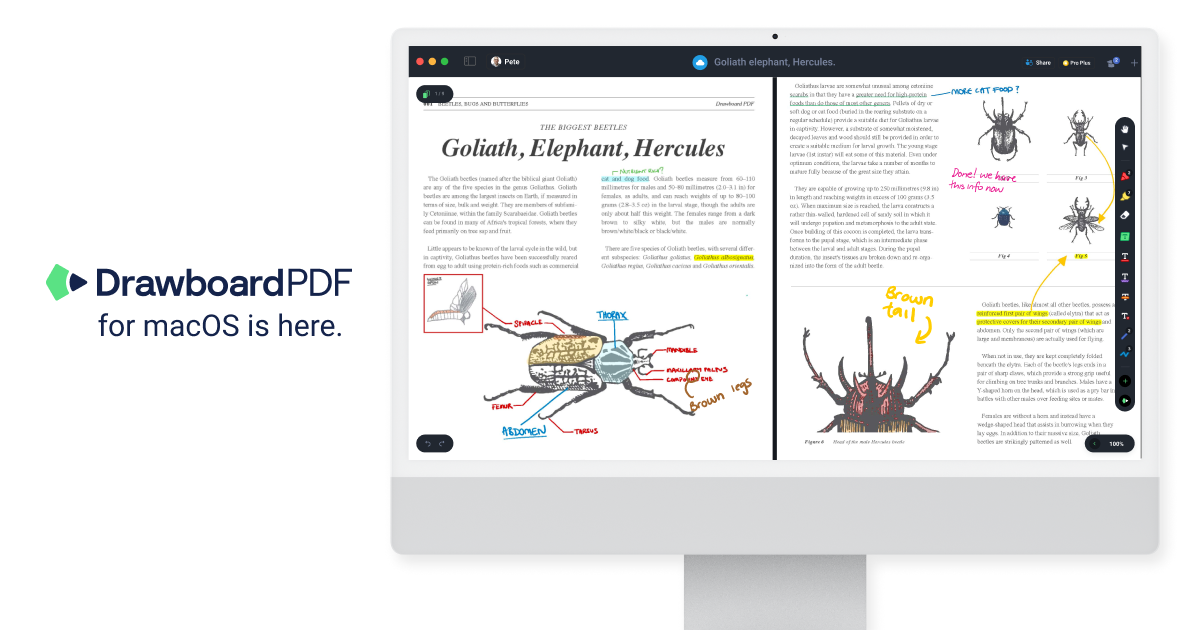 Drawboard PDF for macOS | The Best PDF Editor for Mac