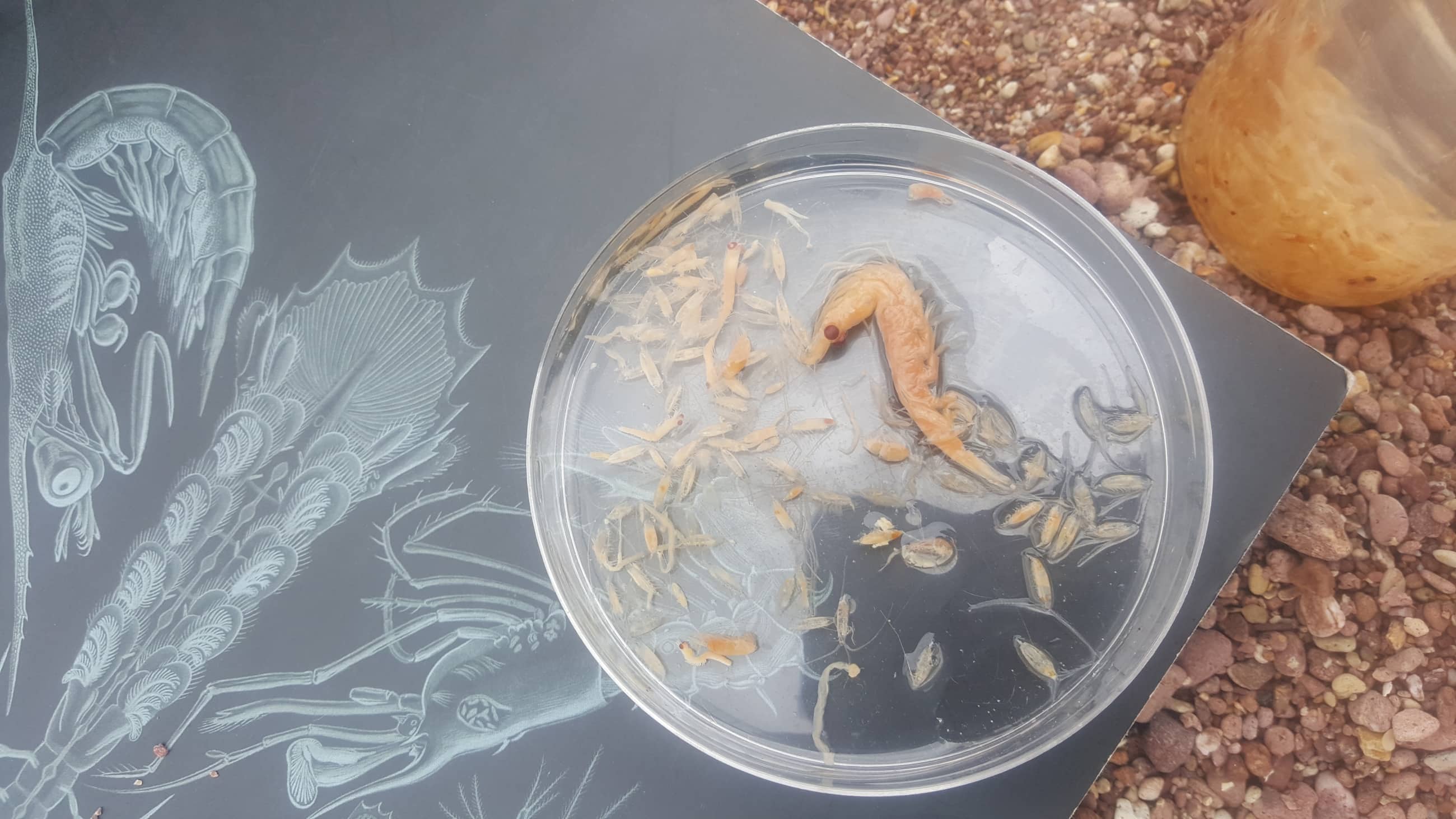 Cornwall Climate Care - a series of documentaries