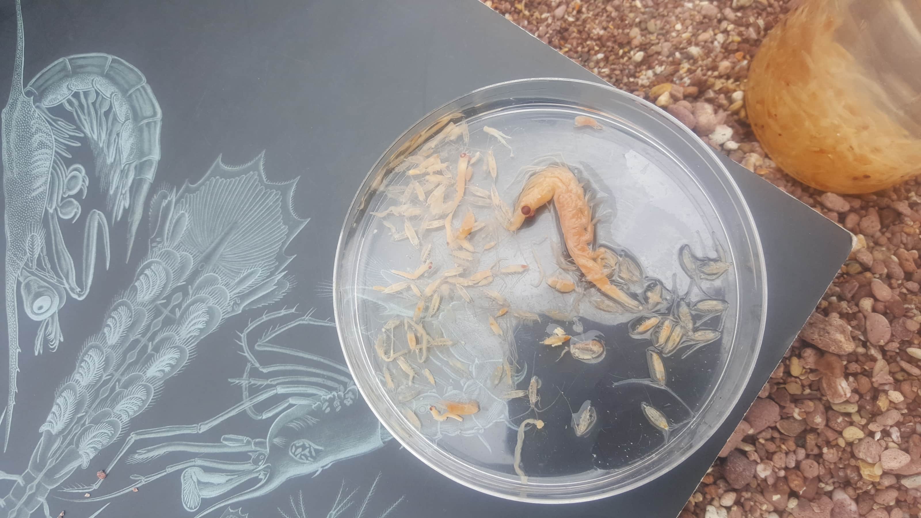 Cornwall Climate Care - a series of documentaries