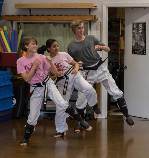 Sun Dragon Seido Karate and Self Defense, NFP
