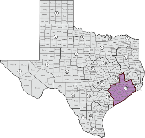 Texas Division of Emergency Management