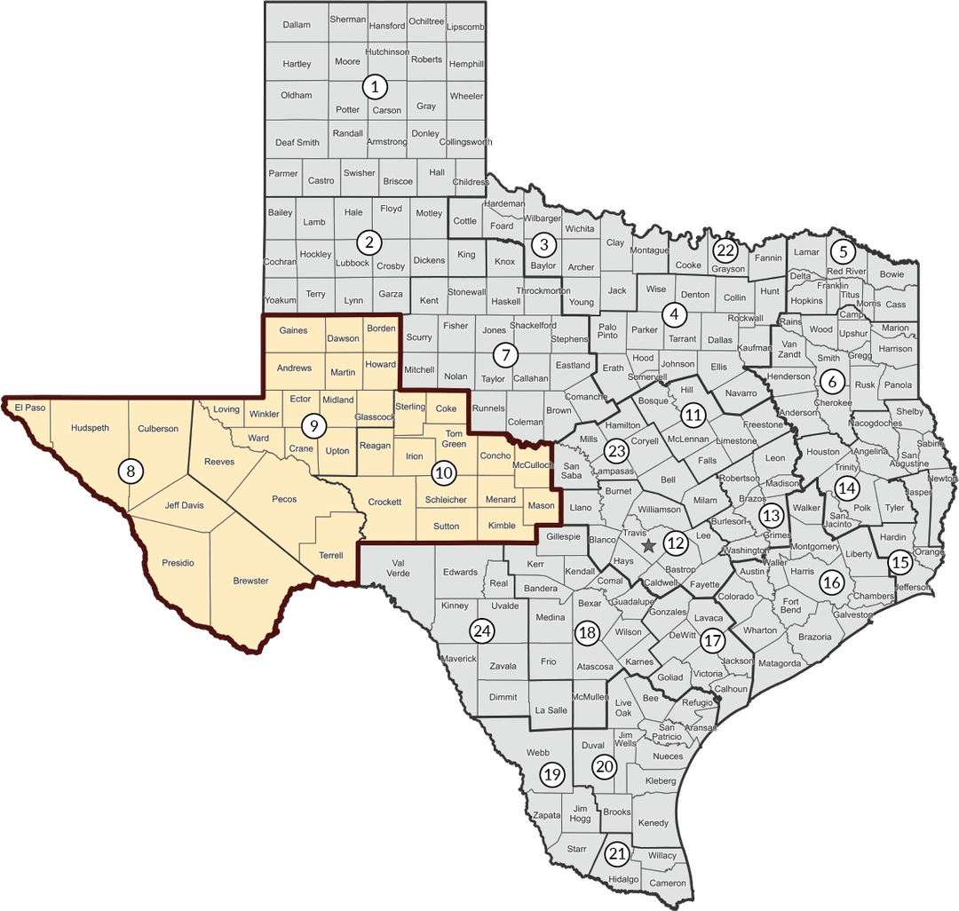 Texas Division of Emergency Management