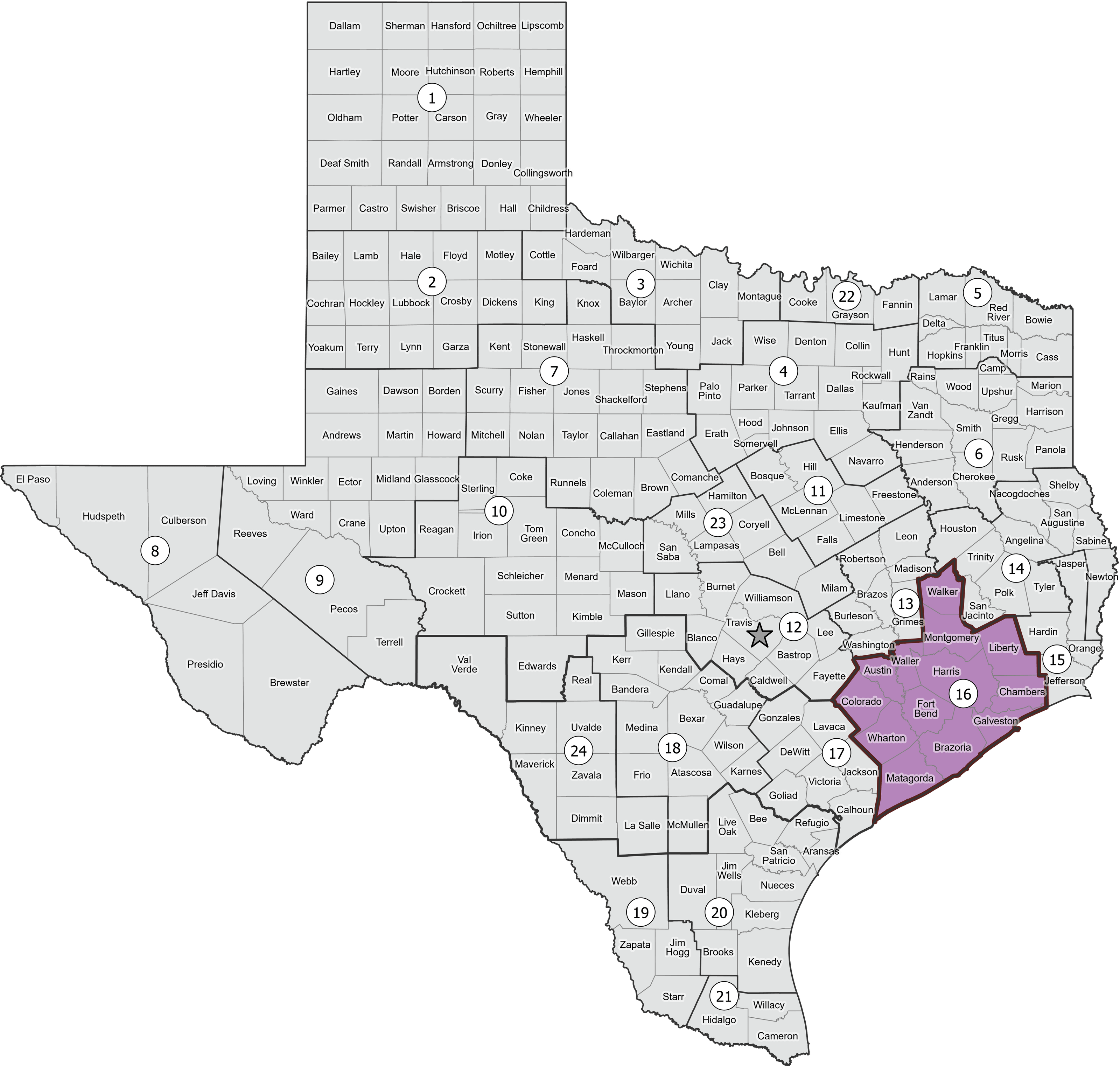 Texas Division of Emergency Management