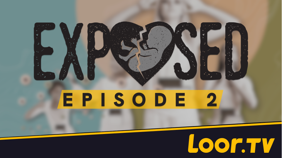 So You Have Seen Build-A-Baby. Now What?