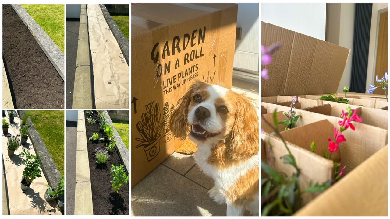 Garden on a Roll: The Easiest Way to Design Your Garden | Product Review