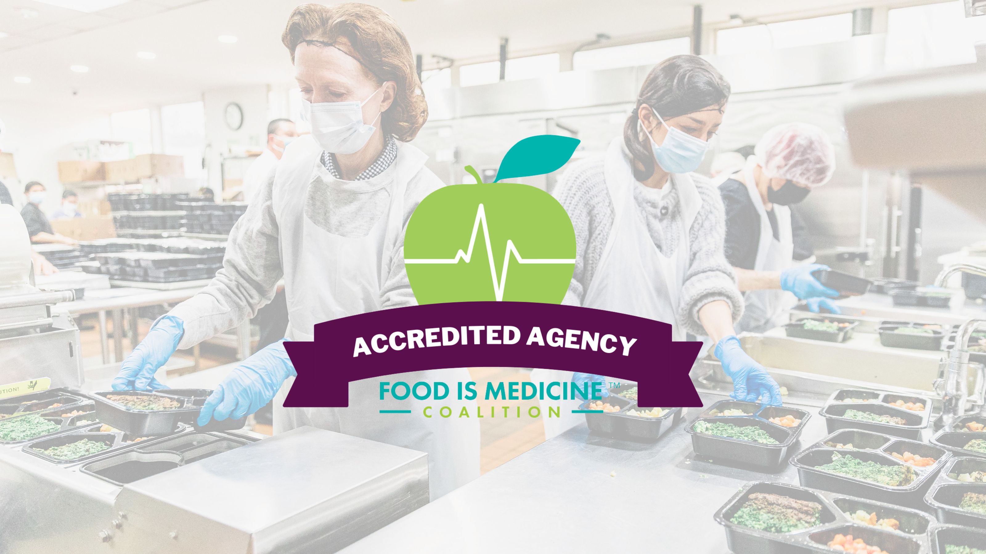 Homepage | Project Angel Food