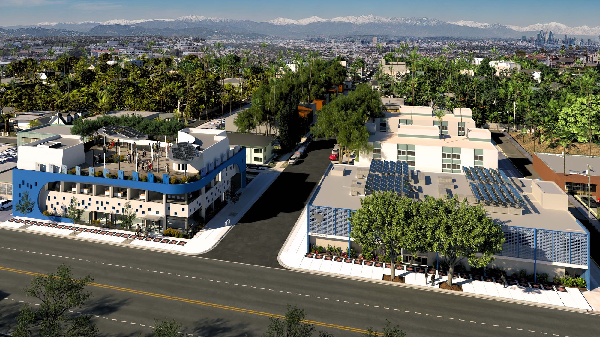 Homepage | Project Angel Food