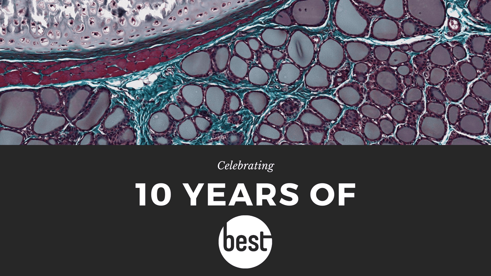 Revolutionising Biomedical Education - Best Network