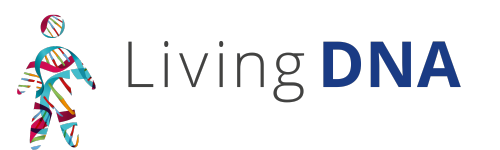 International eCommerce Delivery | MHI