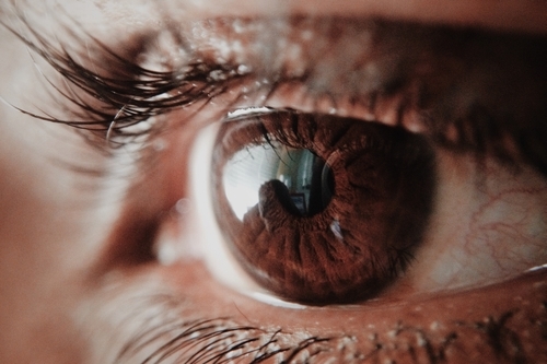 Ver Conjugation: Using the Spanish Verb “To See"